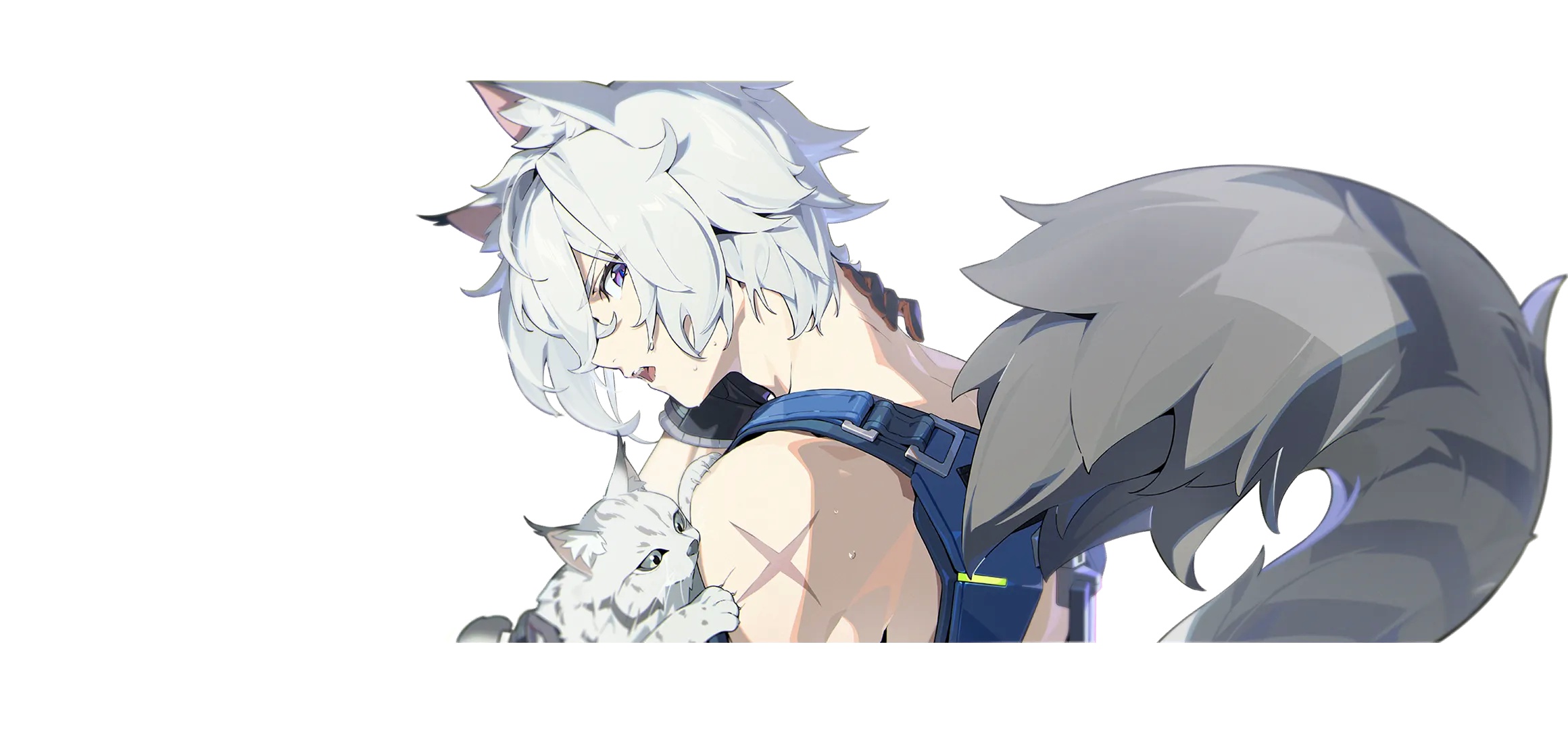 Созвездия в ZZZ: все раздетые персонажи [арты c6] | WTFTime.ru